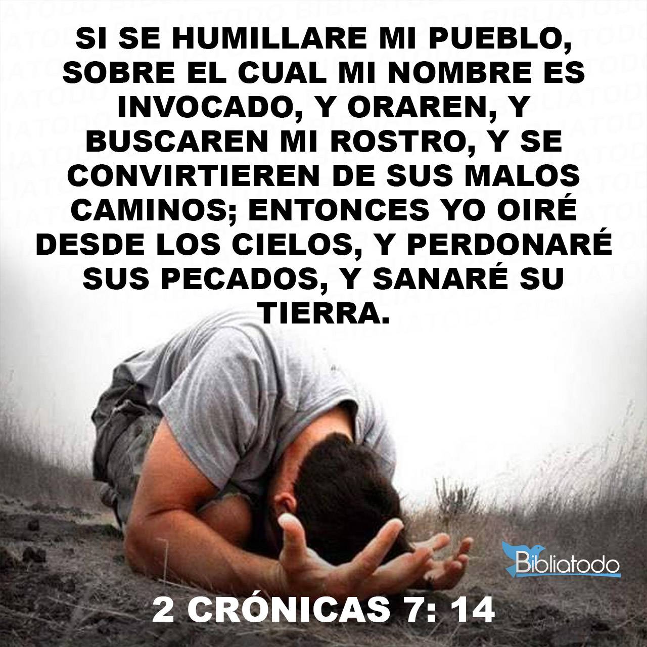 2 Crônicas 7:14 Referências Cruzadas da Bíblia | Conexões Versículo a Versículo - ARC