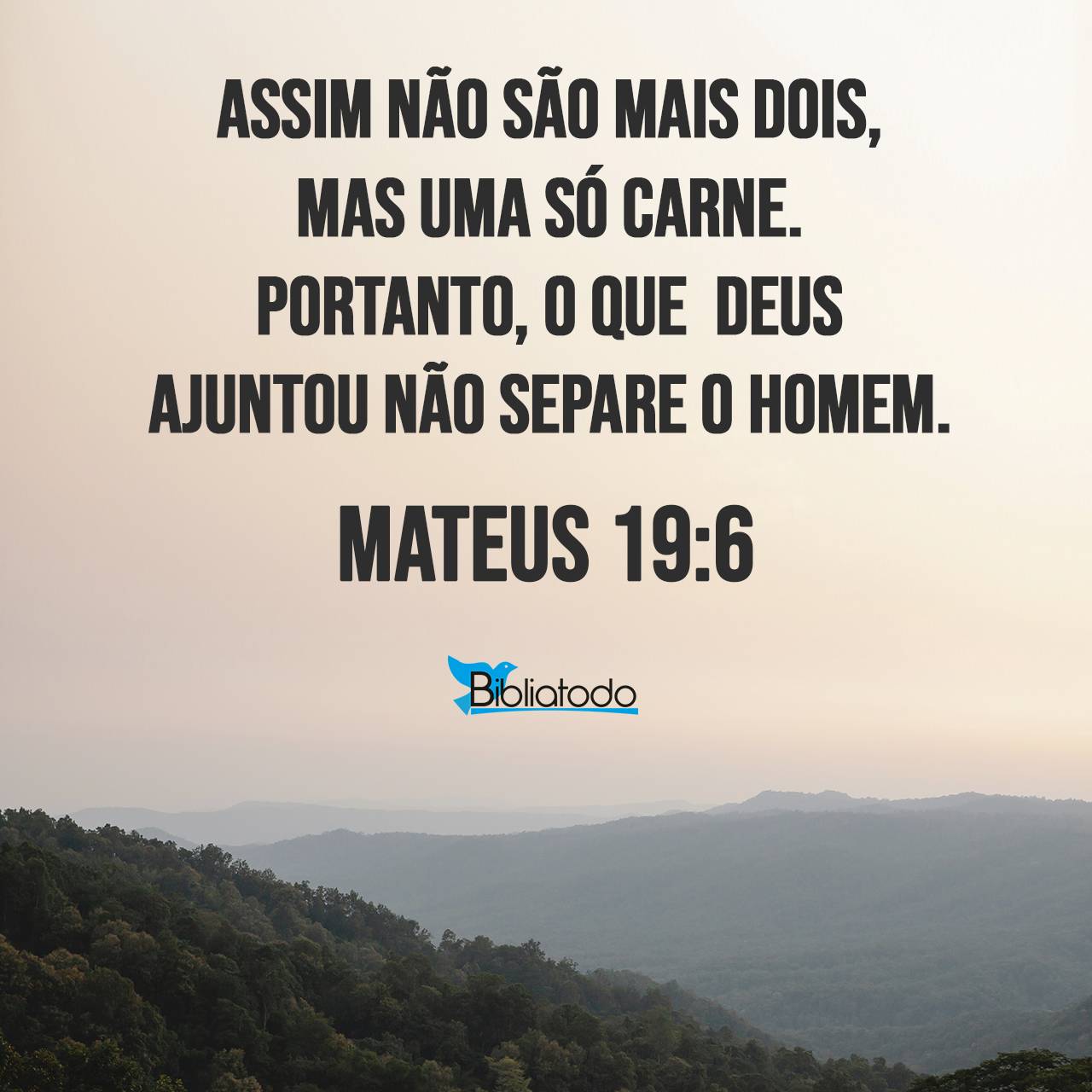 Mateus 19:6 ARC - Assim não são mais dois, mas uma só carne. Portanto ...