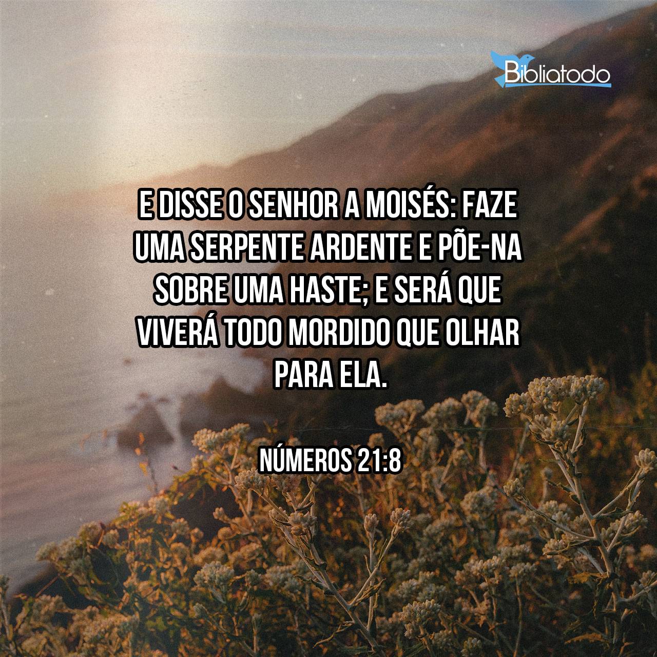 Números 21:8 Referências Cruzadas da Bíblia | Conexões Versículo a ...