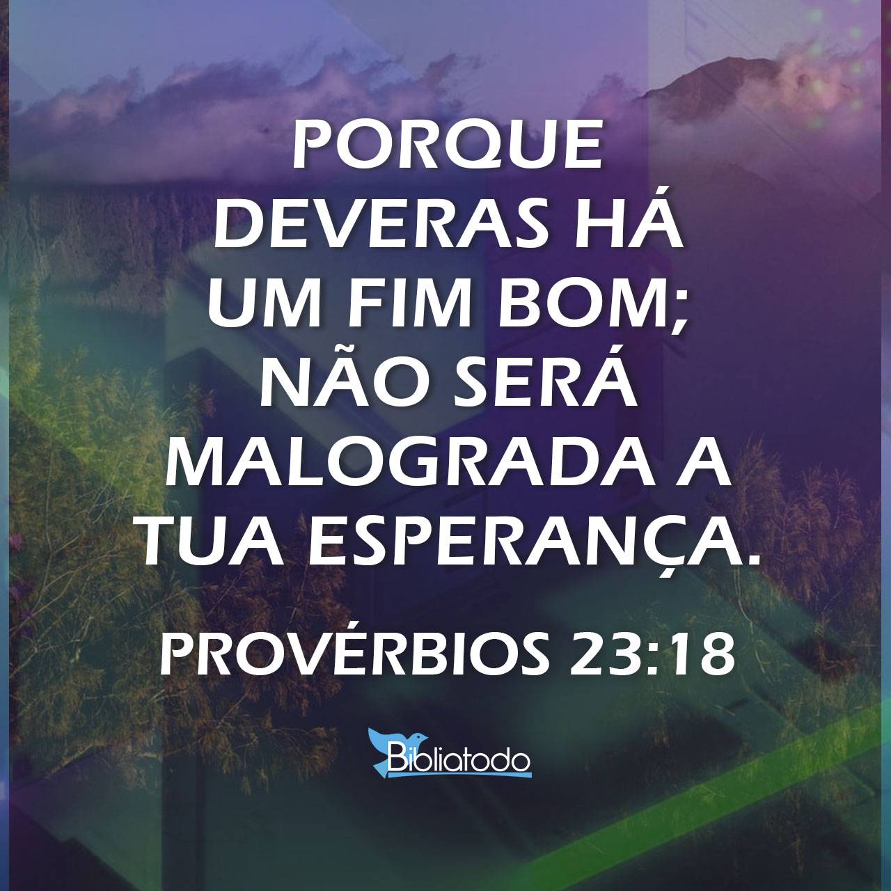 Provérbios 23:18 NVI - Se agir assim, certamente haverá bom futuro para ...