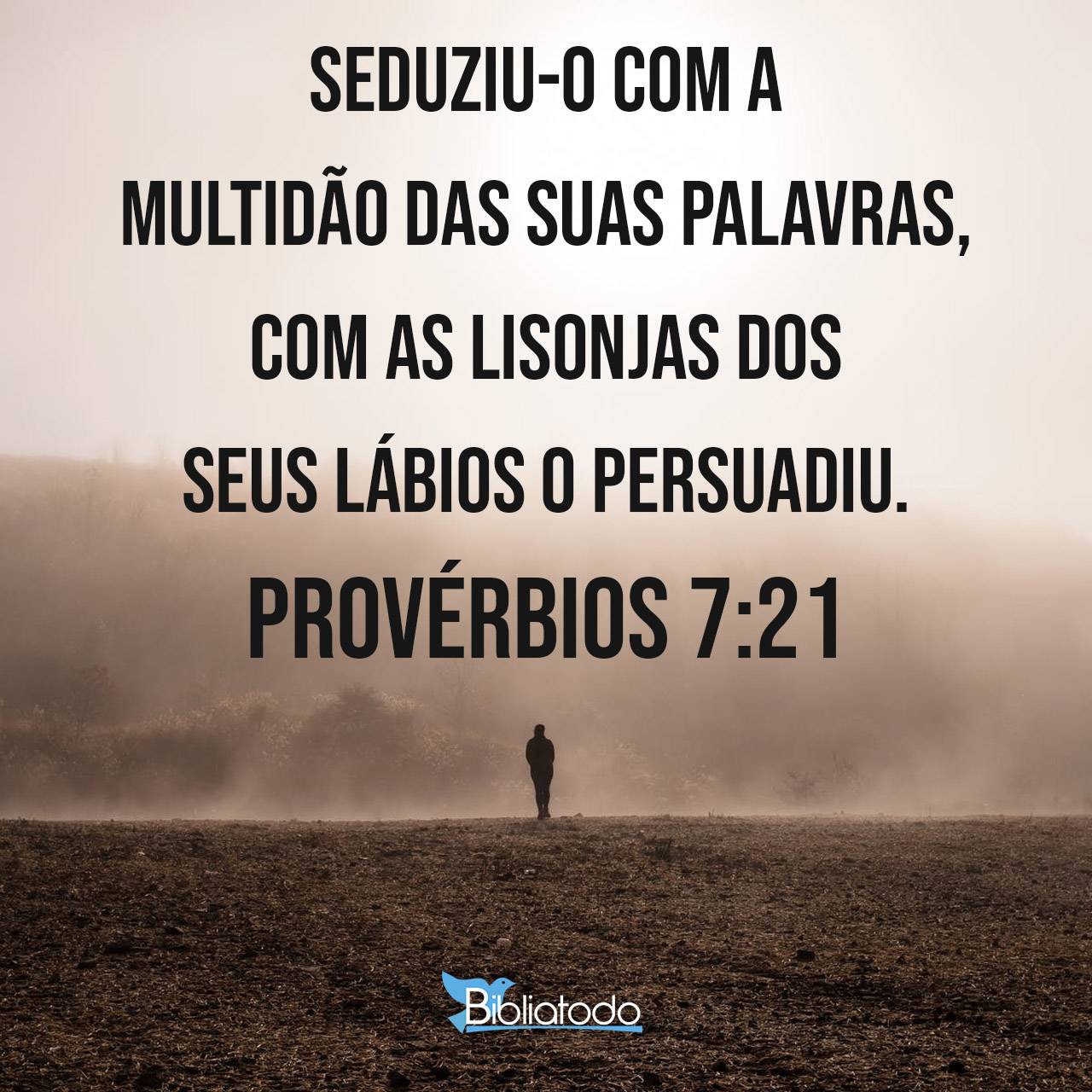 Provérbios 7:21 RC60DO - Seduziu-o com a multidão das suas palavras ...