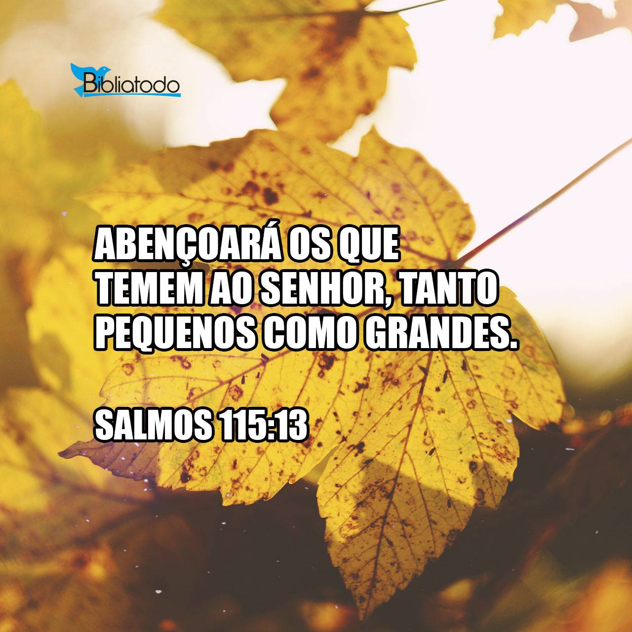 Salmos 115:13 Referências Cruzadas da Bíblia | Conexões Versículo a ...