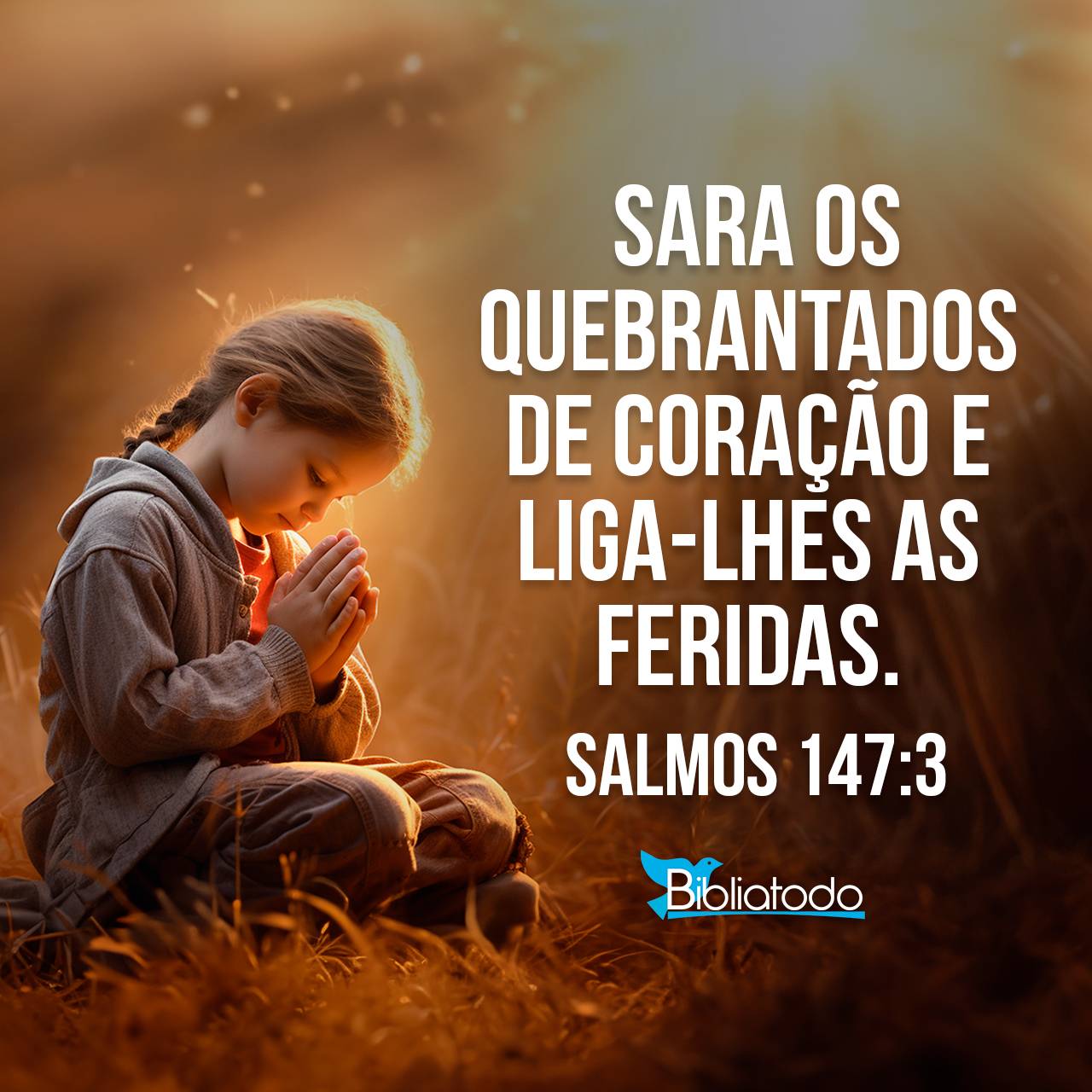 Salmos 147:3 ARC - Versiculo do dia