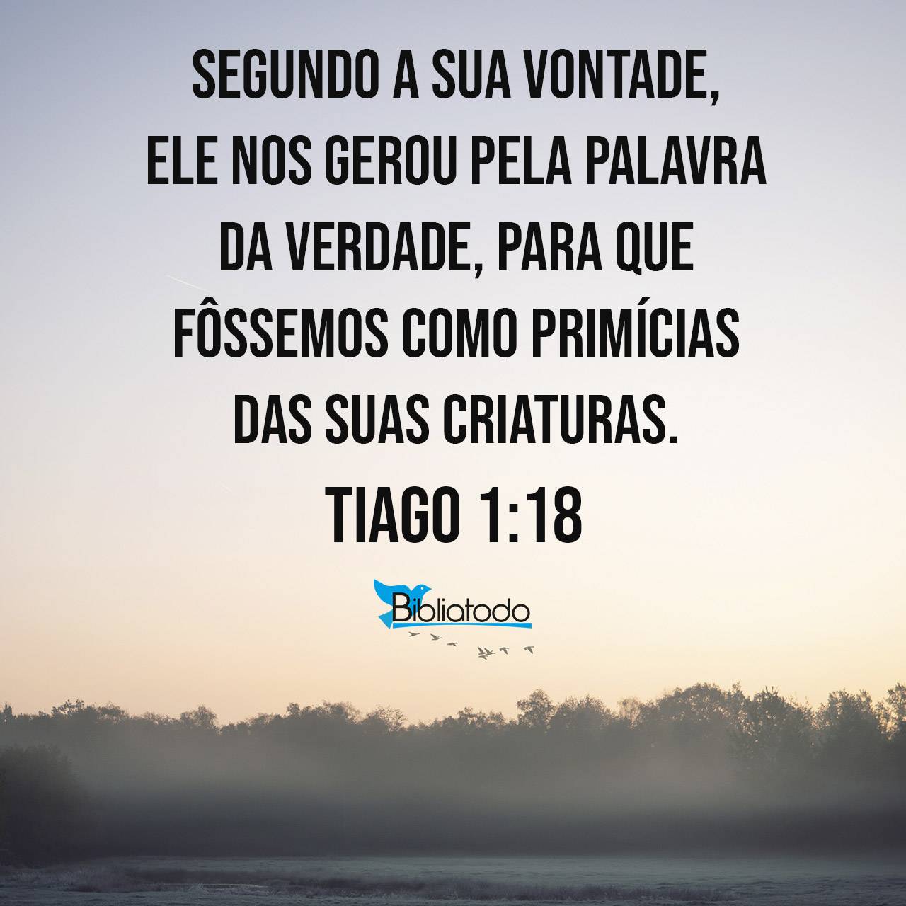 Tiago 1:18 NTLH - Pela sua própria vontade ele fez com que nós ...