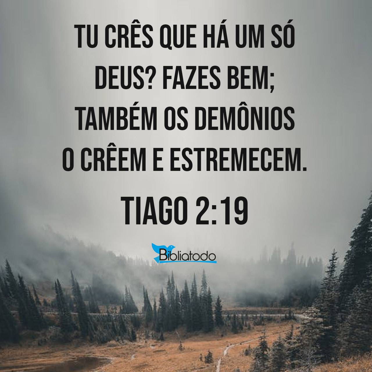 Tiago 2:19 ARC - Tu crês que há um só Deus? Fazes bem; também os ...