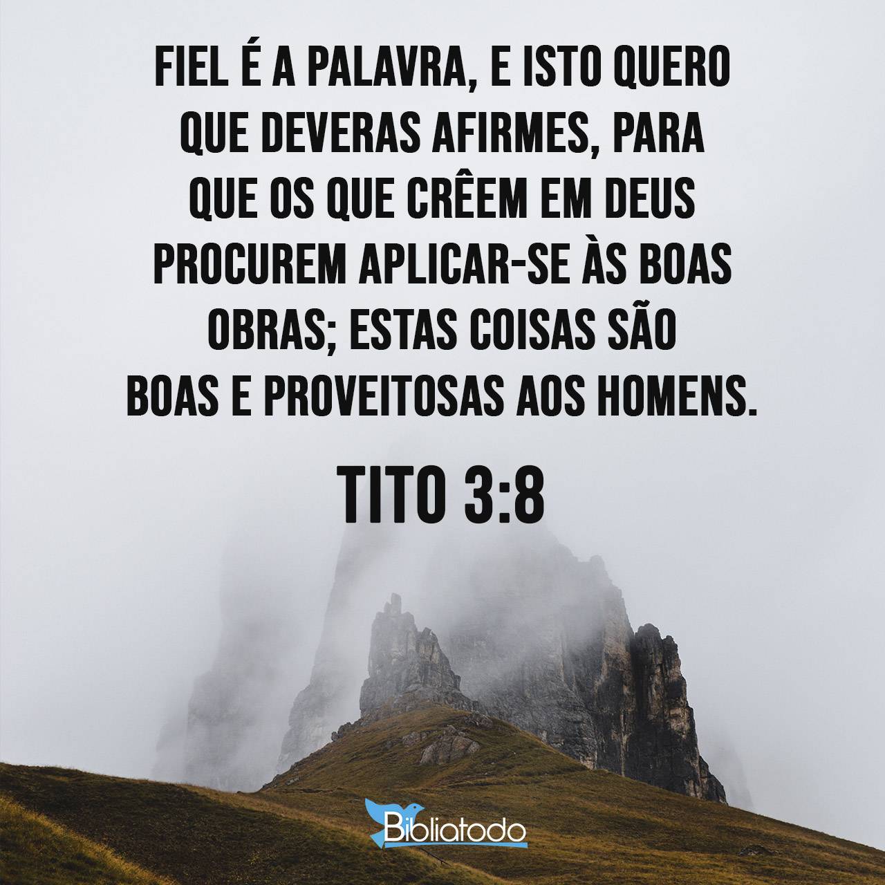 Tito 3:8 LBLA - Palabra fiel es esta, y en cuanto a estas cosas quiero que hables con firmeza ...