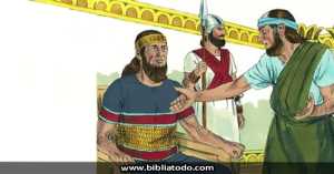 Asa - Significado, biografía e historia